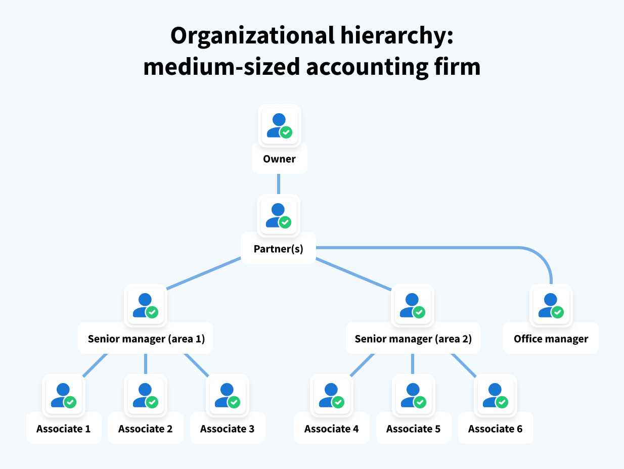 Organizational structures for accounting firms of all sizes: a visual ...